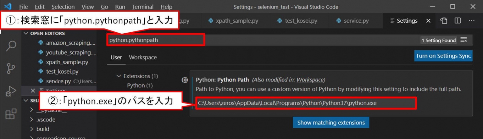【Python】VSCodeでPythonのバージョンを変更・確認する方法 | カメ助のブログ