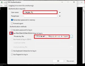 【Python】ConoHa WINGのサーバーでPythonプログラムを実行する | カメ助のブログ